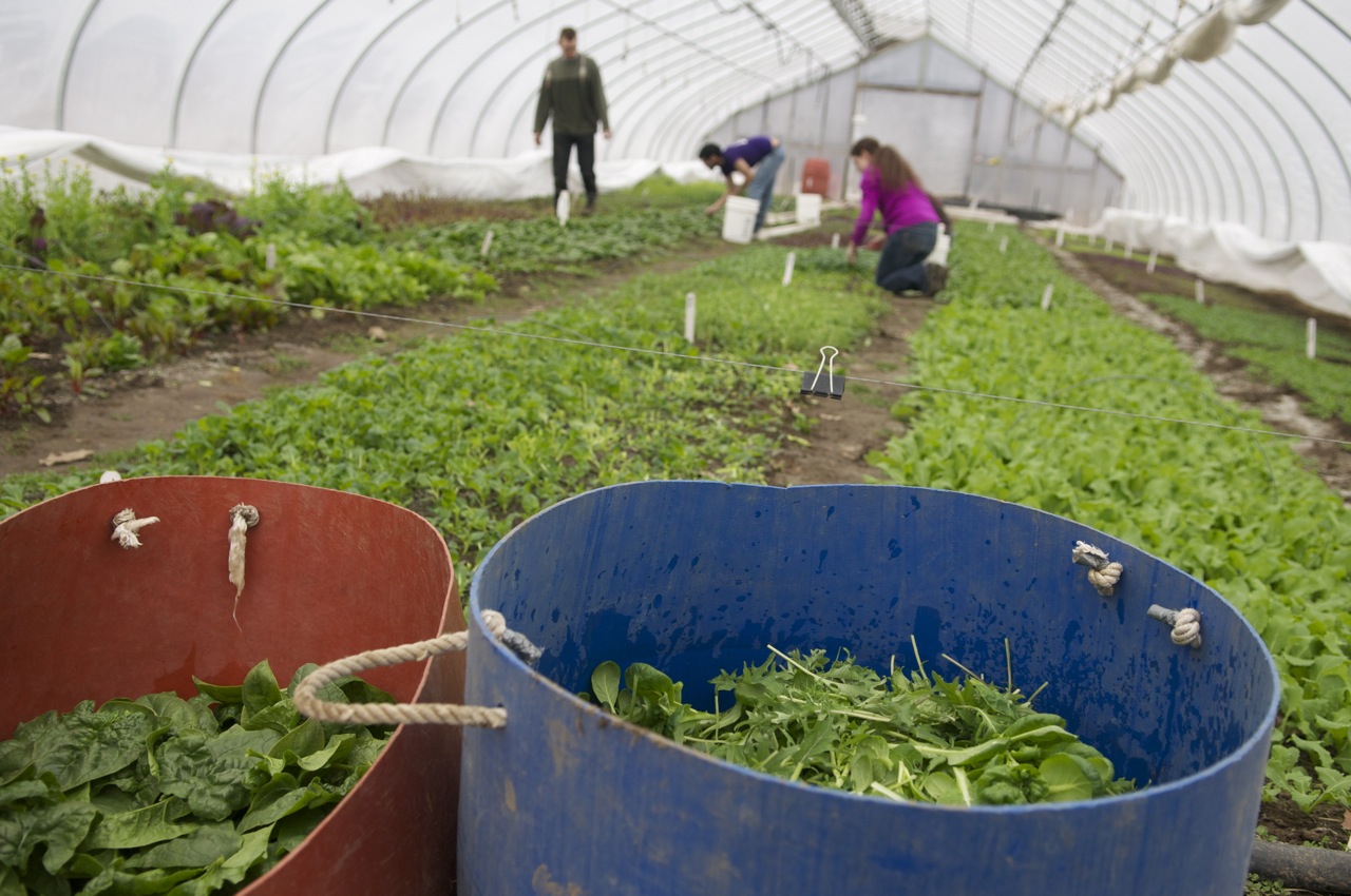 Farming a Waste-less World | To Recycle is Not Enough